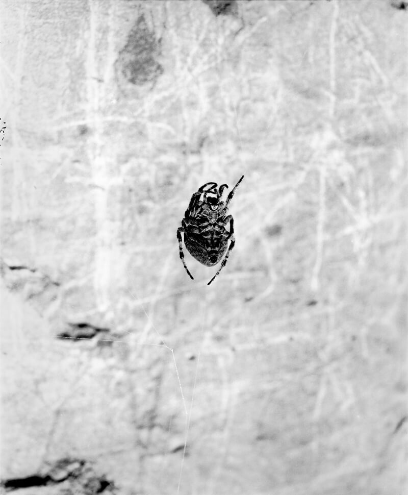 Teo Ormond-Skeaping - Orbit Æterna - Phases Magazine