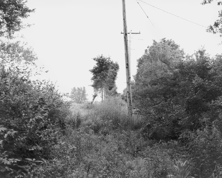 - Tim Carpenter - Phases Magazine