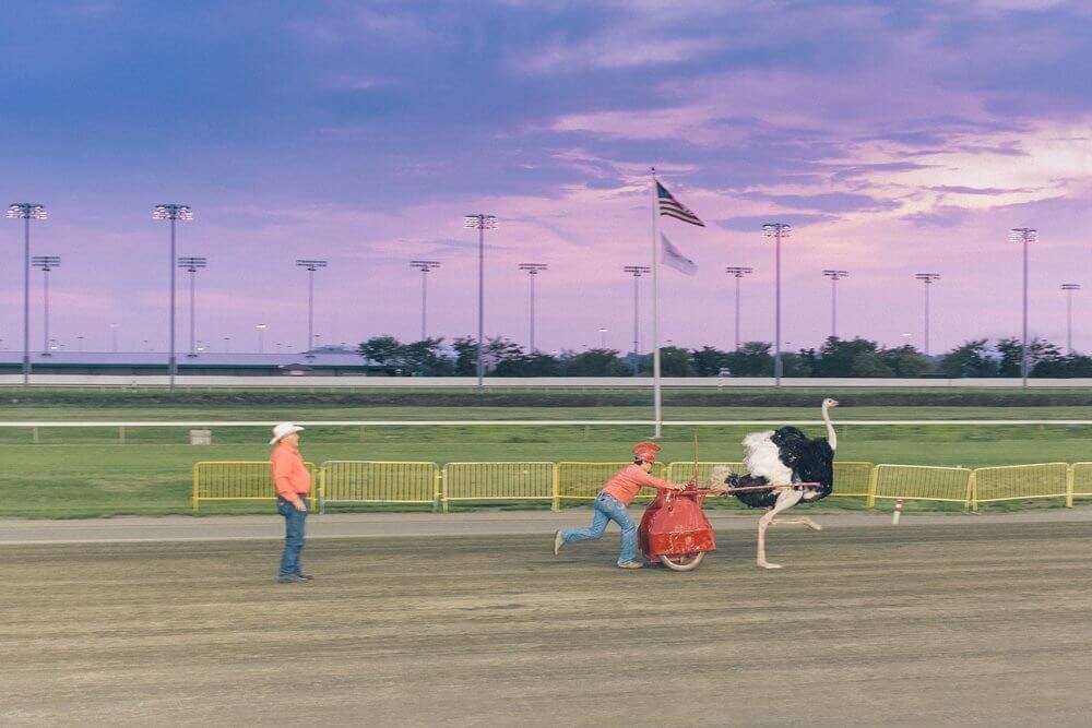 - Chris Maggio - Phases Magazine