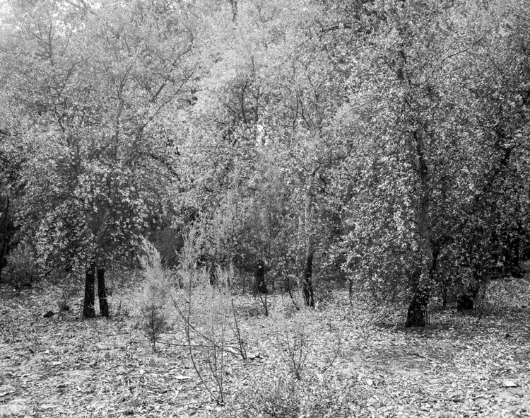 - Matt Slater - Phases Magazine