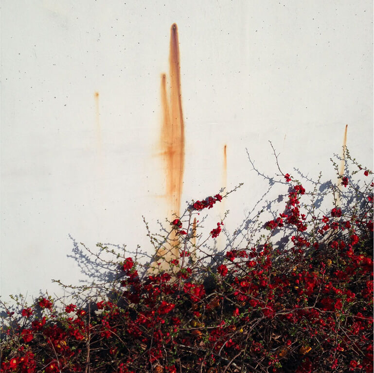 - Chiel-Jan Schut - Phases Magazine