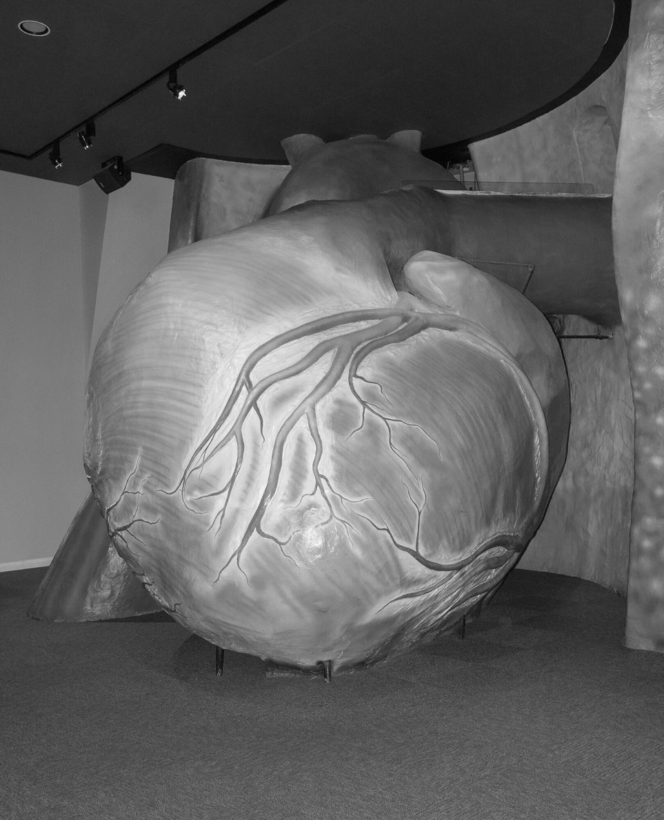 - Tal Barel - Phases Magazine