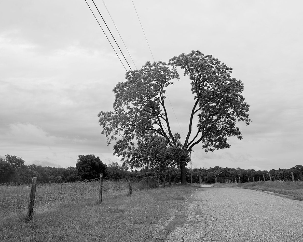 - Lindsay Metivier - Phases Magazine