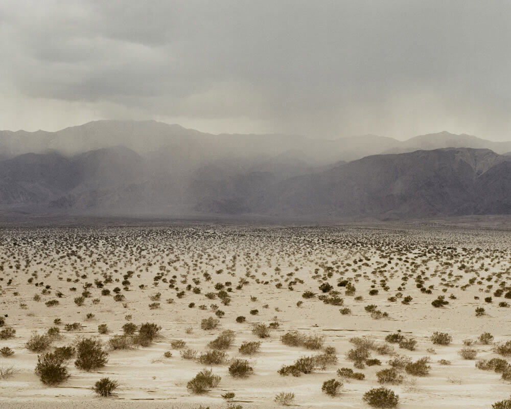 - Daniel Shea - Phases Magazine