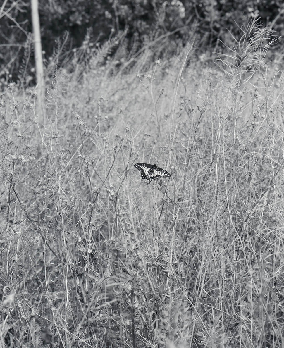 - Alexandra Madden - Phases Magazine