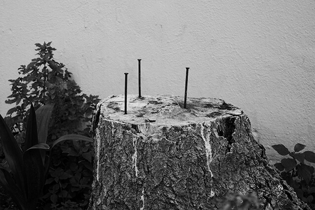 - Alexis Vasilikos - Phases Magazine