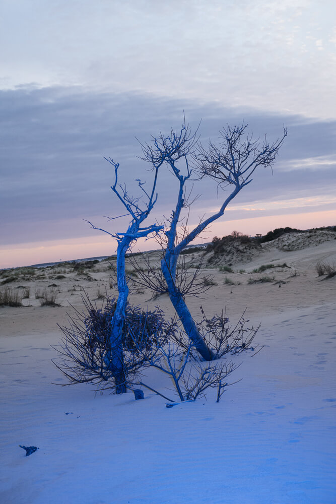 - Peter Hoffman - Phases Magazine