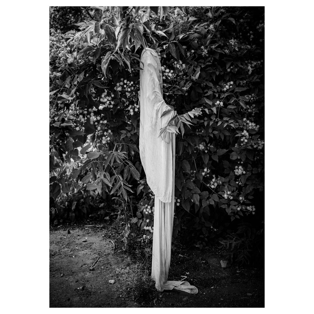 - Sebastian Collett - Phases Magazine