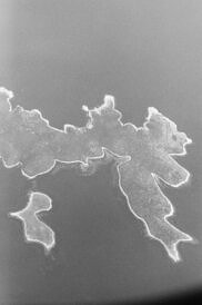 Gallery - Phases Magazine